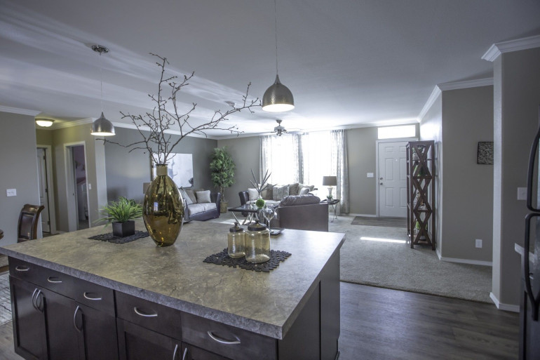 Customization Option for Living Room of Your Manufactured & Modular ...