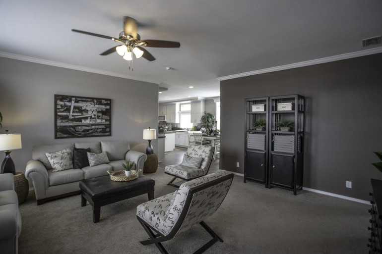 Customization Option for Living Room of Your Manufactured & Modular ...