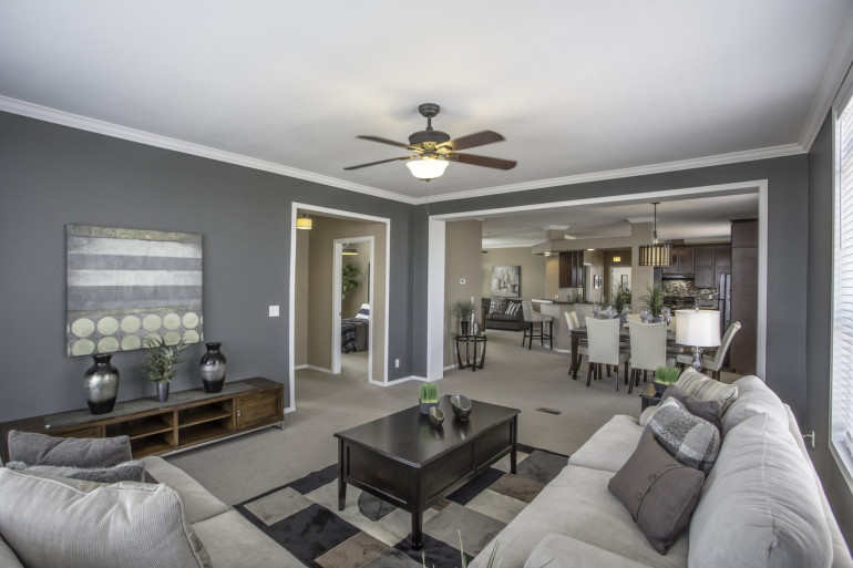 Customization Option for Living Room of Your Manufactured & Modular ...