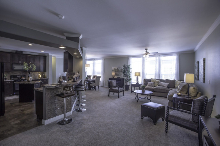 Customization Option for Living Room of Your Manufactured & Modular ...