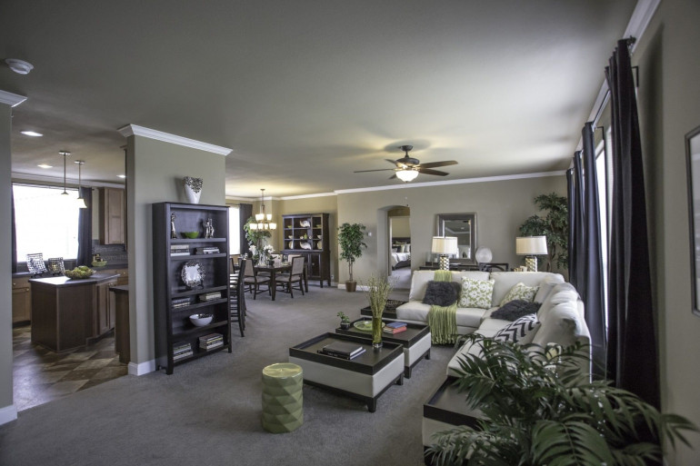 Customization Option for Living Room of Your Manufactured & Modular ...